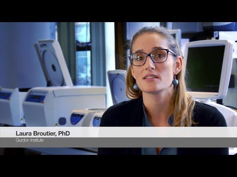 3D Cell Culture and Analysis: Thoughts from Laura Broutier, PhD - YouTube