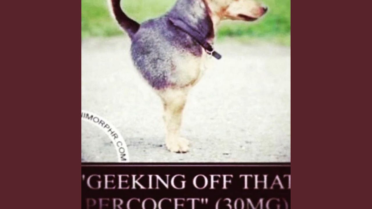 Geeking Off That Percocet (30MG) - YouTube