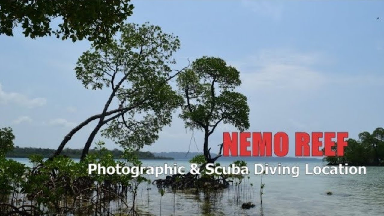 Nemo Reef Havelock | Scuba Location | Andaman and Nicobar Islands ...