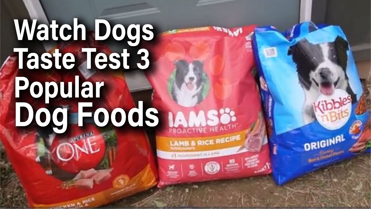 Watch Dogs Taste Test 3 Popular Dog Foods | Express Pet Food - YouTube