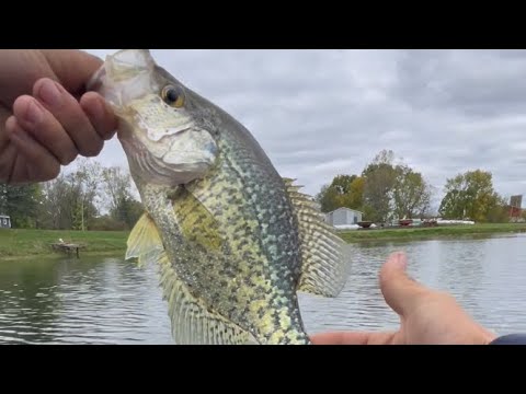 Northern Ohio Fall Crappie Fishing - YouTube