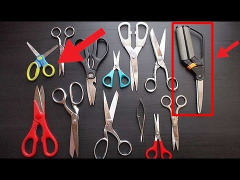 Zəka Testi: Fotoşəkillərdəki qəribəliklərin neçəsini tapa biləcəksiniz?