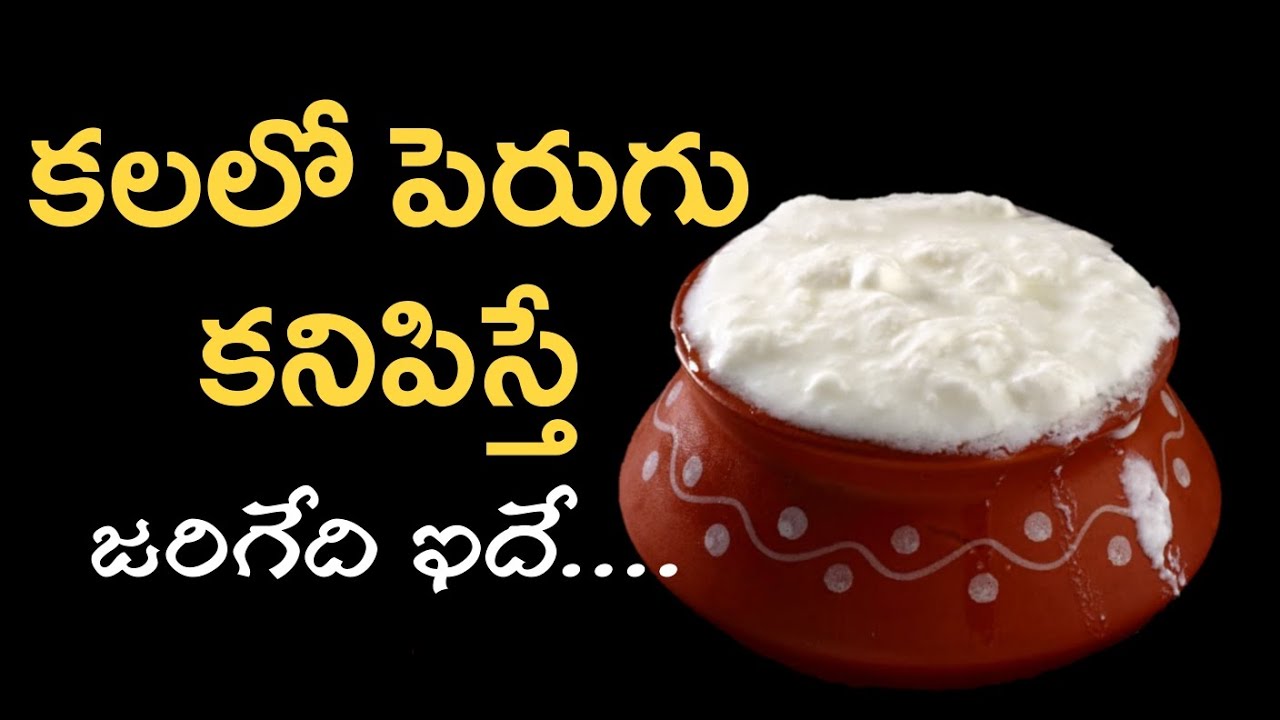 Kalalo Perugu Kanipisthe | Kalalo Curd Kanipisthe | Kalalu Vati ...