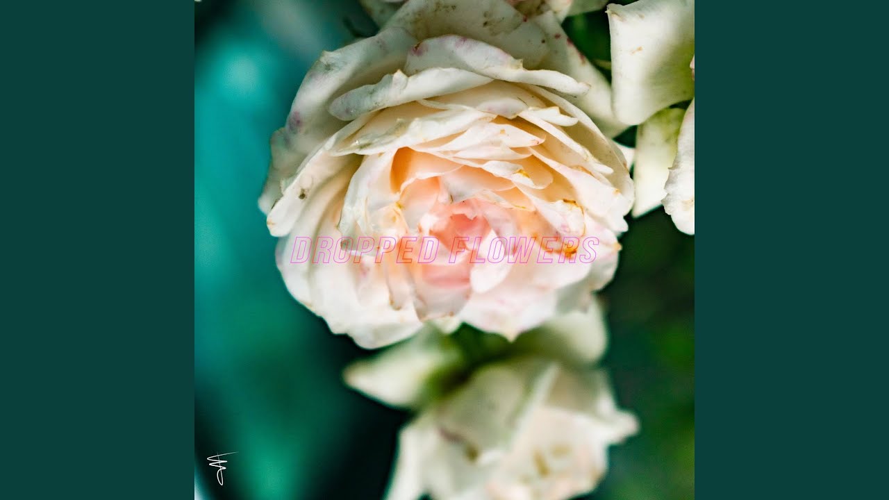 Dropped Flowers - YouTube