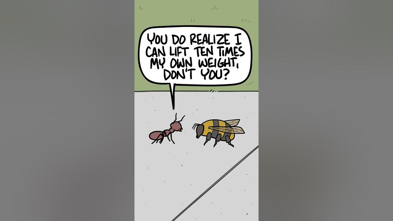 Ant Vs. Bee (Animated Short) - YouTube