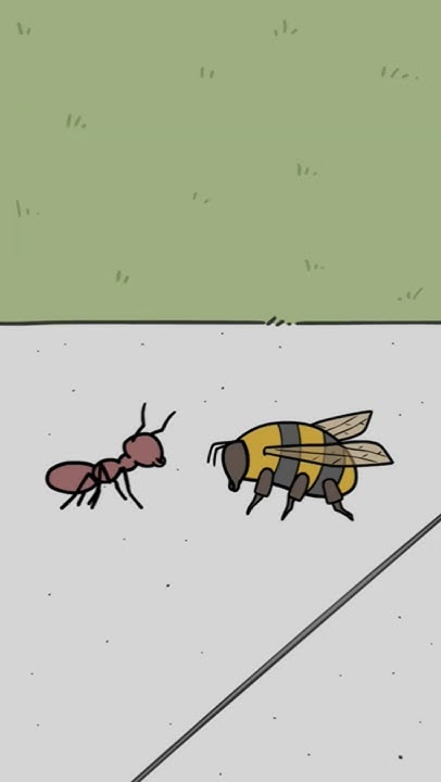 Ant Vs. Bee - YouTube