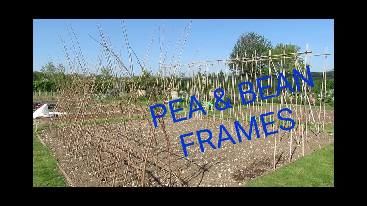 How to Build a BEAN & PEA Frame (2020) - YouTube