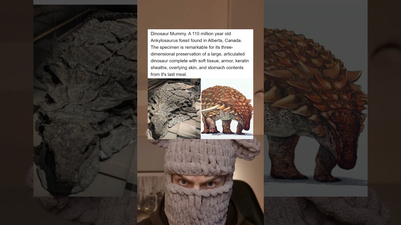 Ankylosaurus Fossil Alberta