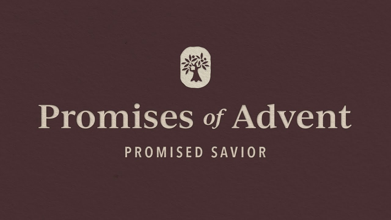 Promised Savior | Promises of Advent | November 30, 2025 - YouTube