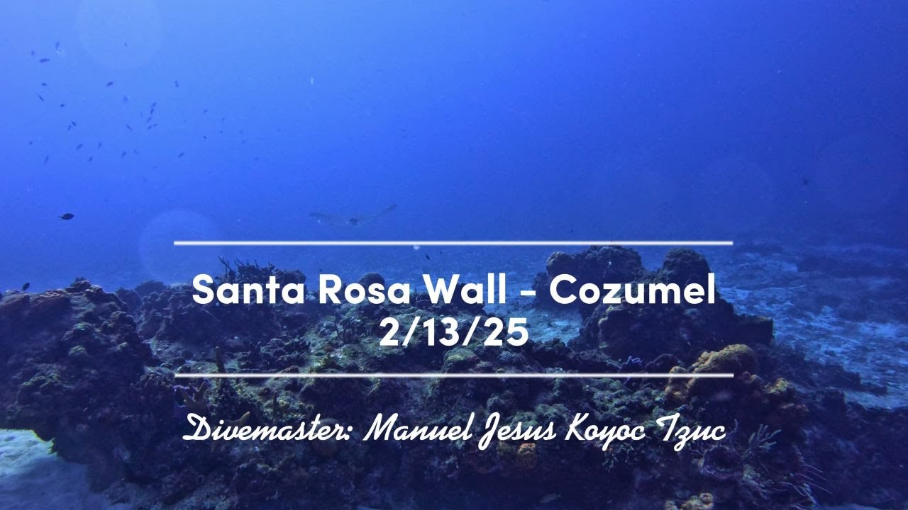 Cozumel Scuba - Santa Rosa Wall - 2/13/25 - YouTube