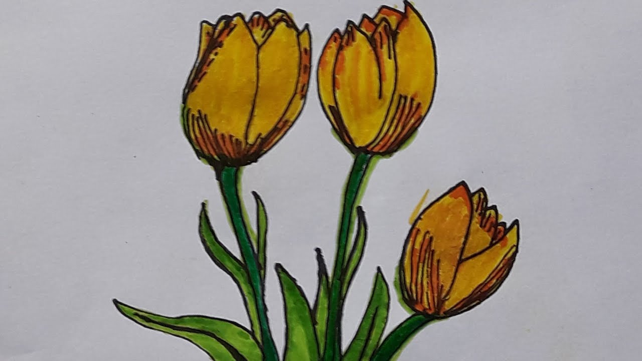 Easy Tulip Flower Drawing - ART BY JAISON - YouTube