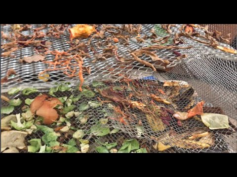 Composting You've never thought of! Don't need a food dehydrator, how ...