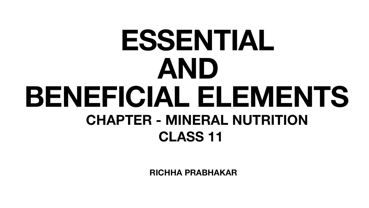 ESSENTIAL AND BENEFICIAL ELEMENTS || MINERAL NUTRITION || HYDROPONICS ...
