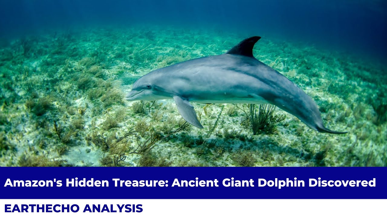 Amazon's Hidden Treasure: Ancient Giant Dolphin Discovered | EarthEcho ...