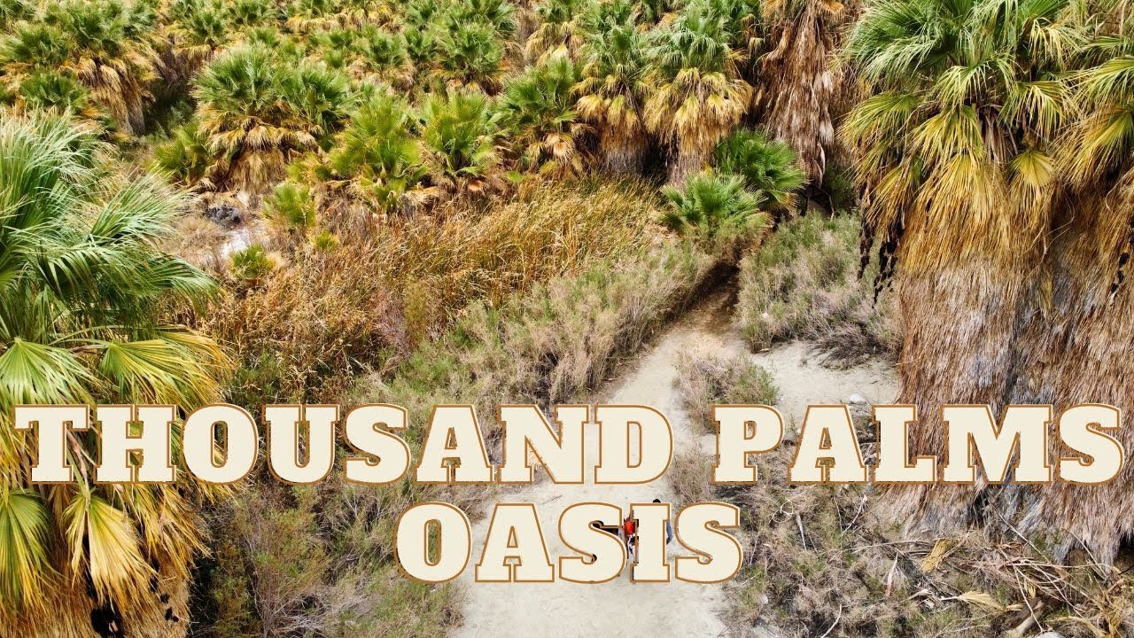 Thousand Palms 🌴 Oasis Preserve 🌵 - YouTube