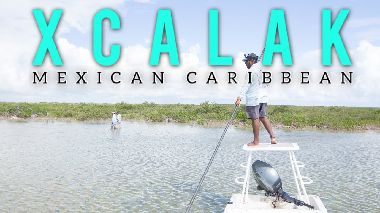 🇲🇽 Fly fishing in XCALAK [🐟 BONEFISH and PERMIT paradise] - YouTube