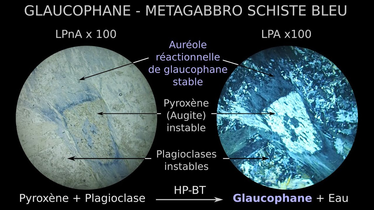 Glaucophane, amphibole sodique HP BT dans métagabbro du faciès des ...