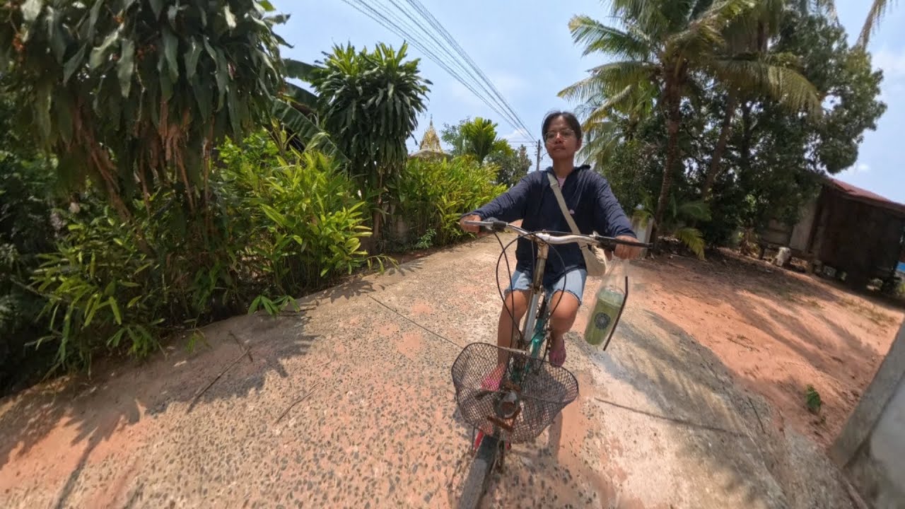 A Simple Bike Ride for Green Tea in My Thai Village. Surin Thailand ...