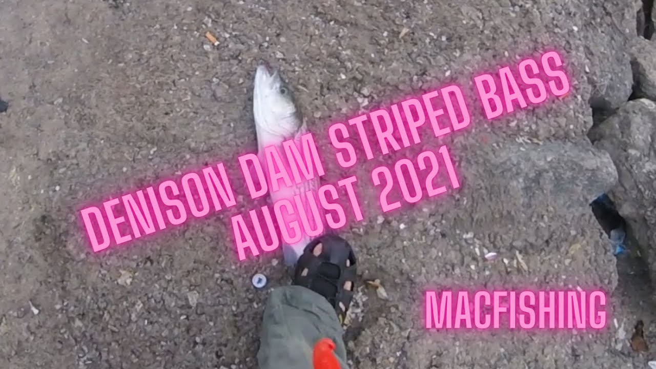 Denison Dam Striper fishing with new rigs - YouTube