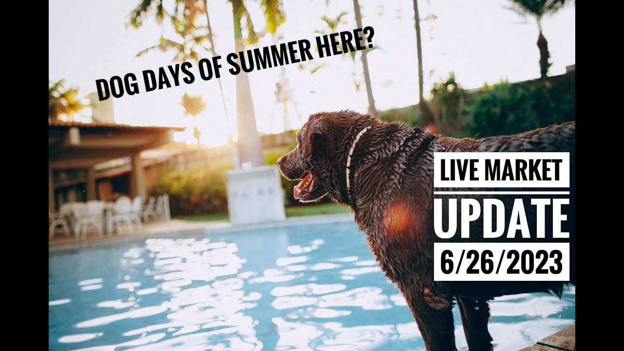 Live Market Update with 12 Minute Trading - Dave Lukas and Doc Severson ...