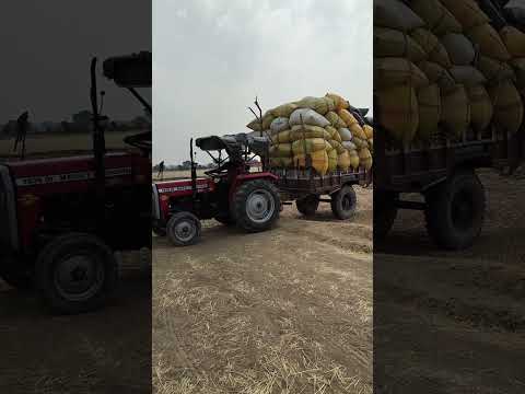 loded trolley in bhusa 100+ jhal in tractor most dangerous driveing ...
