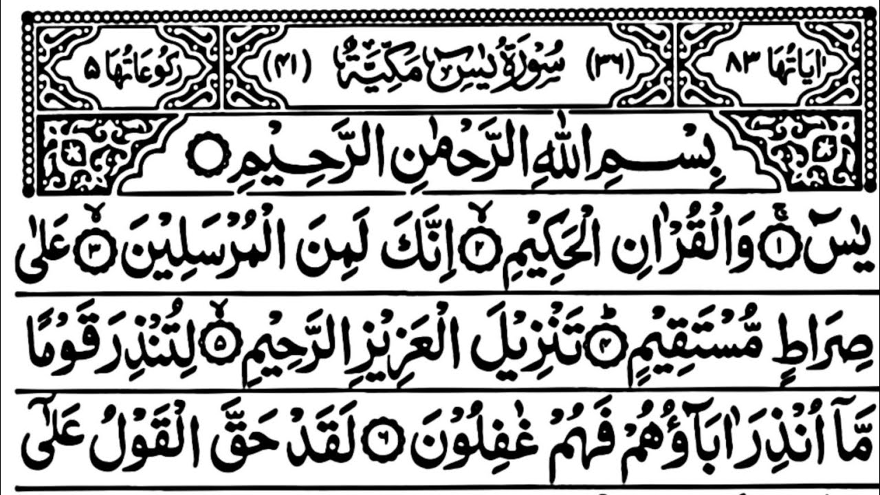 Surah Yaseen Ar -Rahman Episode 40 Beautiful Quran Tilawat yasin dan Ar ...