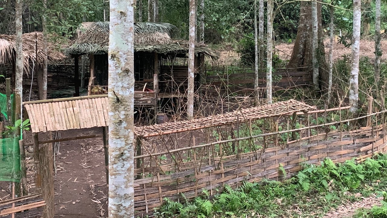 Repair the fence to prevent bad guys.The bad guys still show up.Rebuild ...