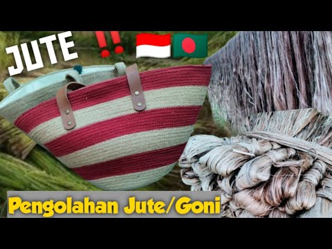 EXPLORE BANGLADESH VILLAGE ||JUTE PROCESSING || PENGOLAHAN JUTE / GONI ...