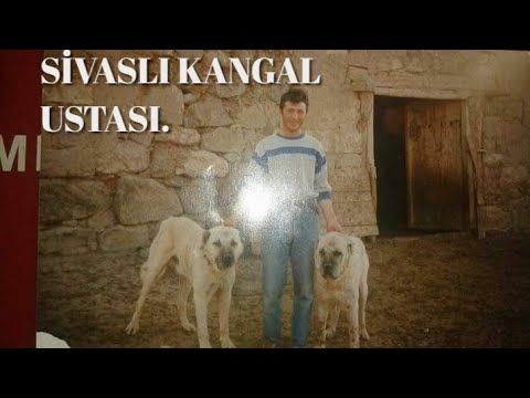 TURAN SUBAŞI İLE KANGAL HAKKINDA Kİ TÜM GERÇEK LERİ, KONUŞUYORUZ.