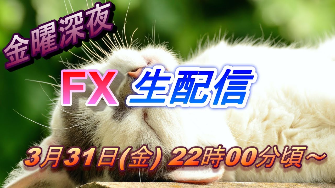 【TAKA FX】今年もう四半期終ったんですね～早いw FX生配信 3月31日(金）22時00頃～ - YouTube