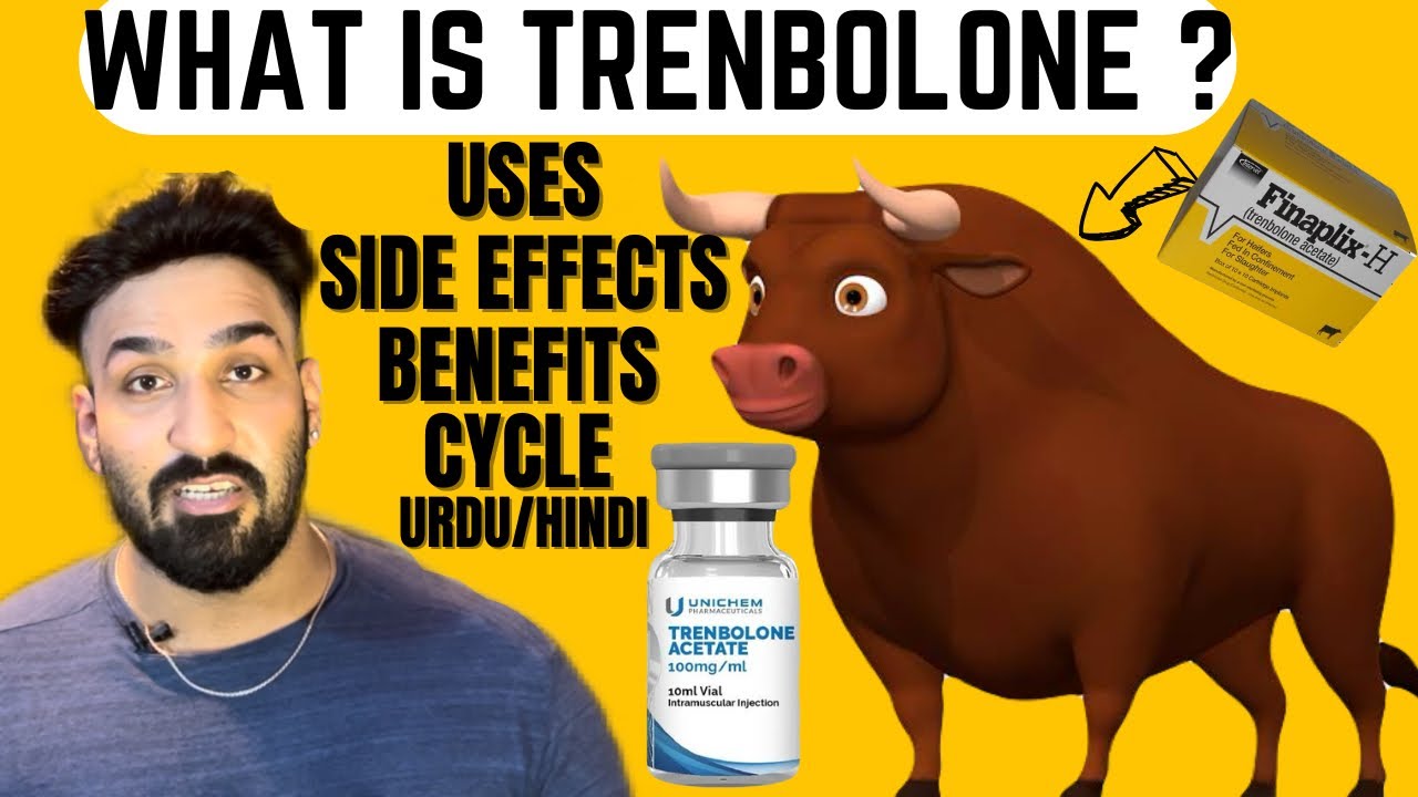 Trenbolone Uses , benefits , Side Effects & cycle Urdu/Hindi | What is ...