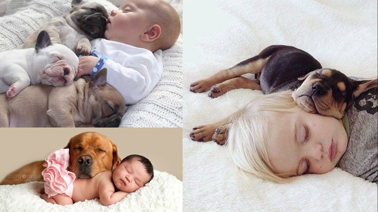 FUNNY AND ADORABLE BABIES DOING FUNNY THINGS!FUNNIEST BABIES KID VIDEOS ...