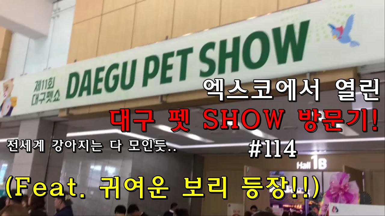 제 11회 DAEGU PET SHOW 에 애견인으로써 꼭 한번은 간다는 쇼! 우리도 가보았다!! 거기서도 뽑기에 당첨 ...