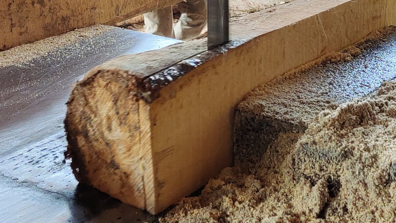 Saw Mill Factory | Wood cutting process - YouTube