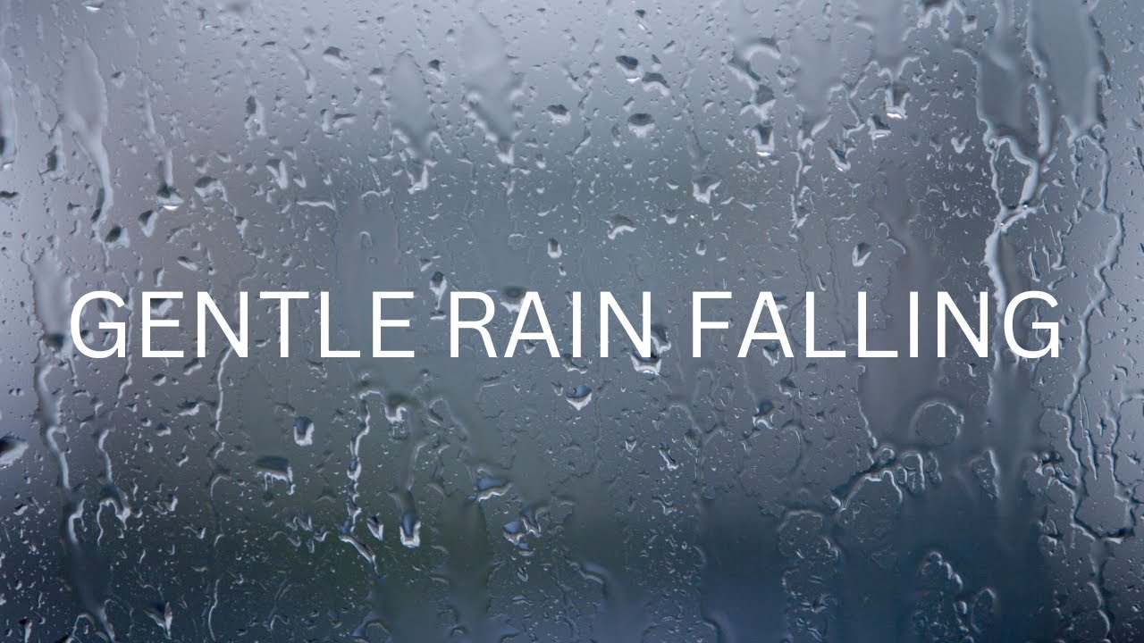 Gentle Rain Falling, Rain Sound for sleep, studying, to relax Rain ...