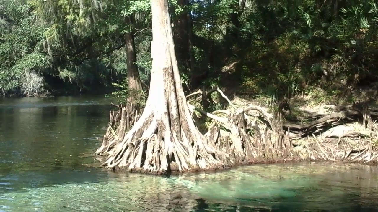 WOW Pot springs nature luv beautiful #1 park in USA - YouTube