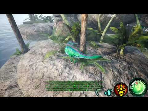 Full Elasmo Interaction - YouTube