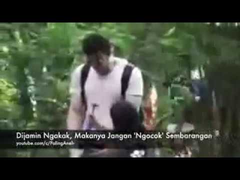 Ngintip ABG lagi NGOCOK