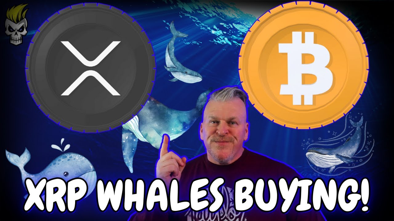 XRP WHALES CONTINUE BUYING AS RIPPLE PARTNERS WITH VARA FOR CROSS ...