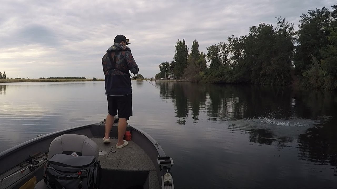 A Few Fish Close to the Hogback Island Boat Launch -- California Delta ...