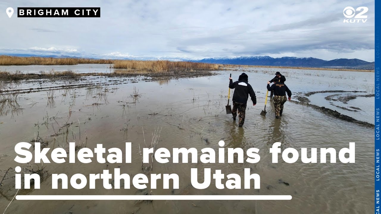 Human skeletal remains found in remote wetland area of northern Utah ...
