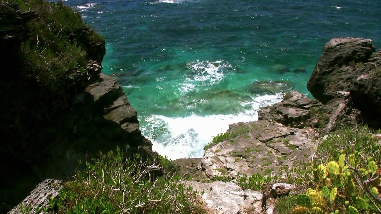 Spittal Pond Nature Reserve Bermuda, Great For Birdwatching - YouTube
