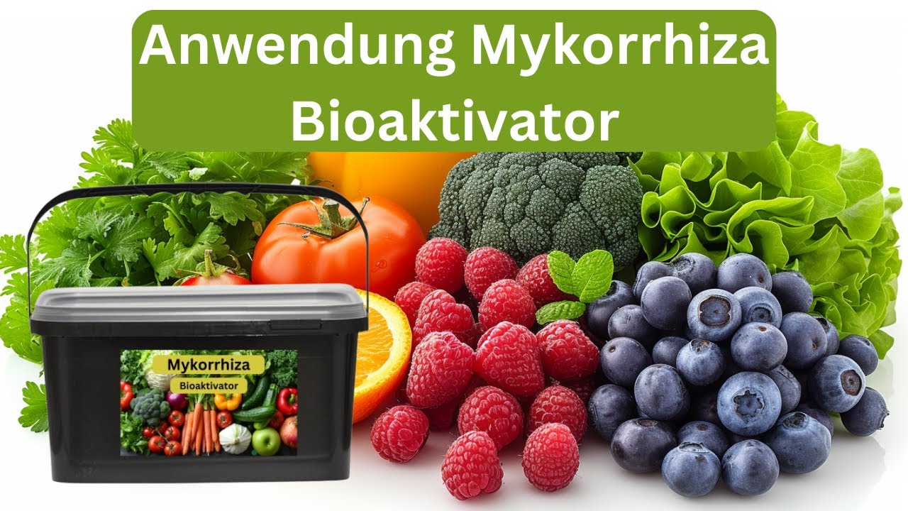 Mykorrhiza Bioaktivator Gemüsedünger von Flora Boost Anwendung - YouTube