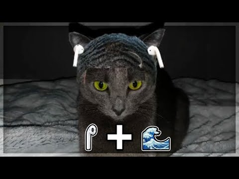 WAVE CHECK TIK TOK COMPILATION 🌊🏄 - YouTube