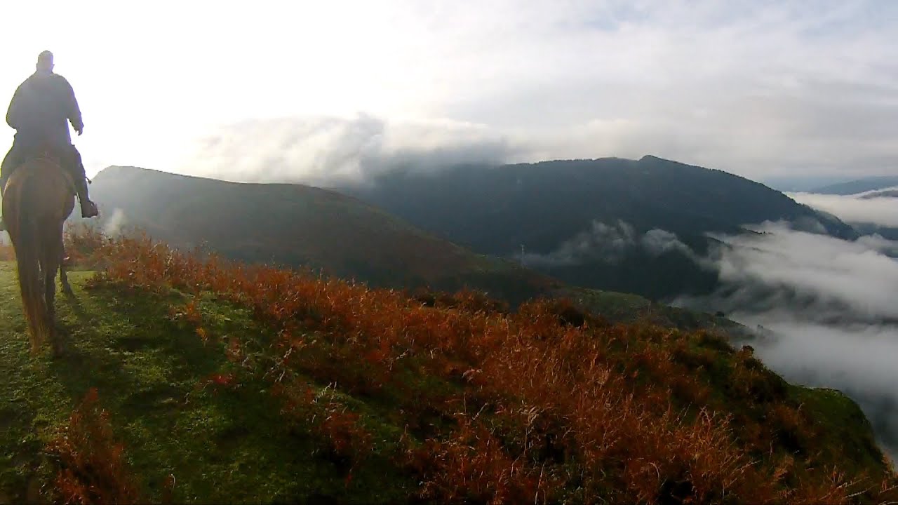 Horse trail riding in Basque Country with arabian mare - YouTube