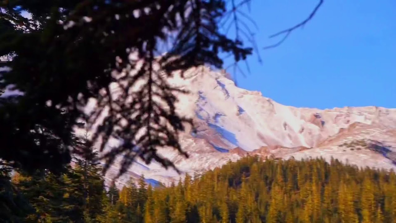 Shasta Fields No.1 - YouTube