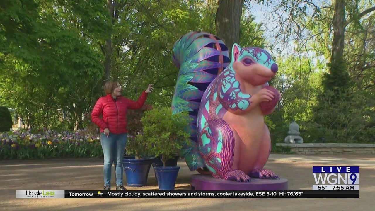Around Town - Vivid Creatures at Morton Arboretum - YouTube