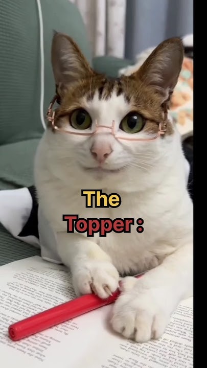 Meet My Cousins 😂.. #subscribe #like #cute #cousins #meow # ...