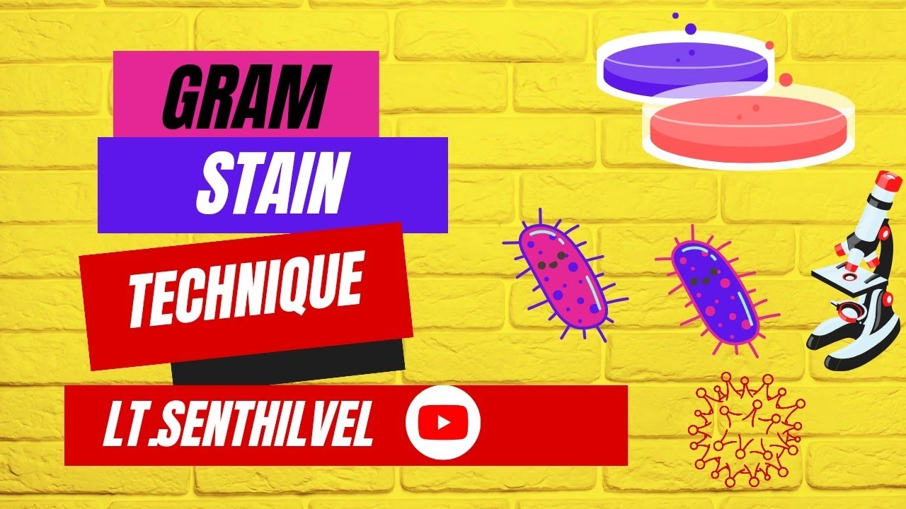 GRAM STAIN TECHNIQUE | GRAM STAIN | GPC | GNB | Grams Stain Technique ...
