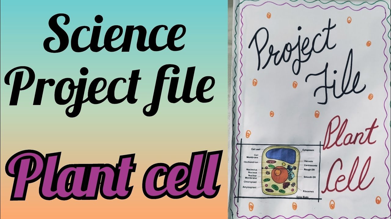 Plant cell project file/science project file/plant cell science project ...